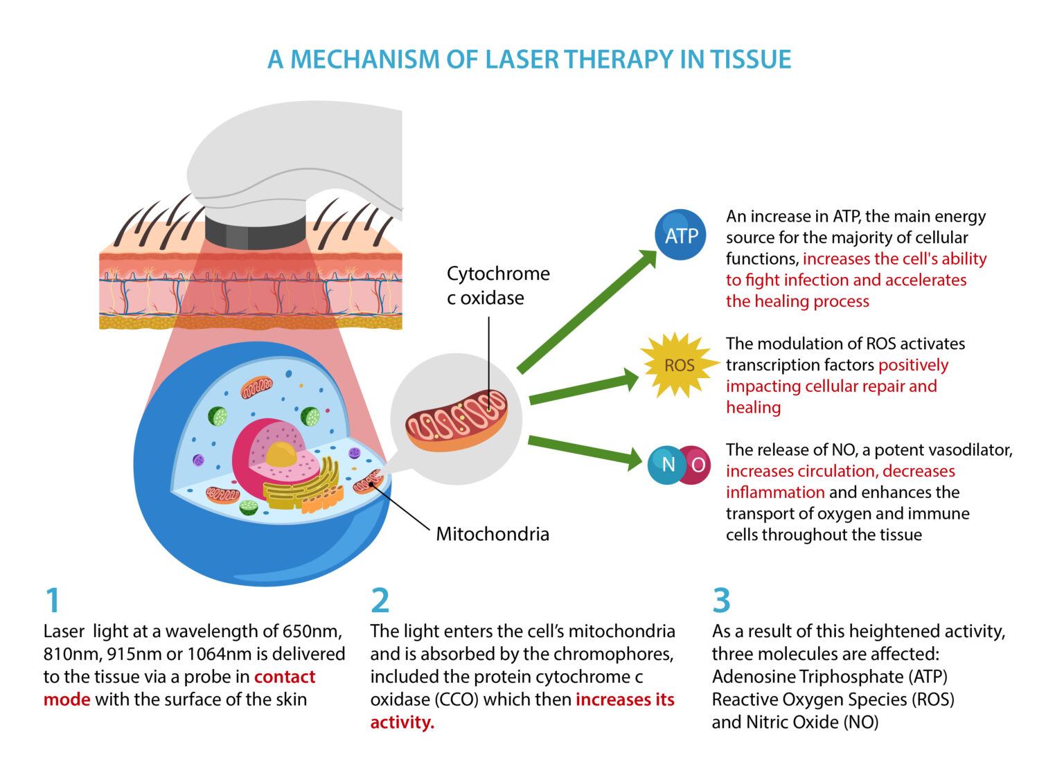 Class IV Laser Therapy – Crossroads Brain & Spine