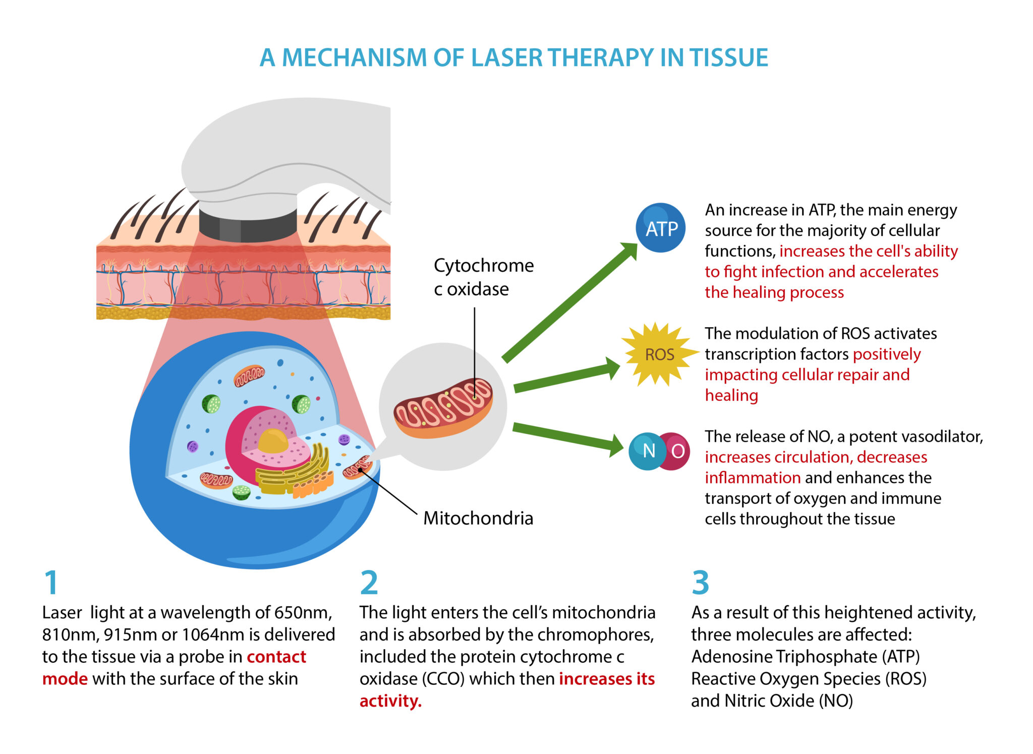 Class IV Laser Therapy – Crossroads Brain & Spine