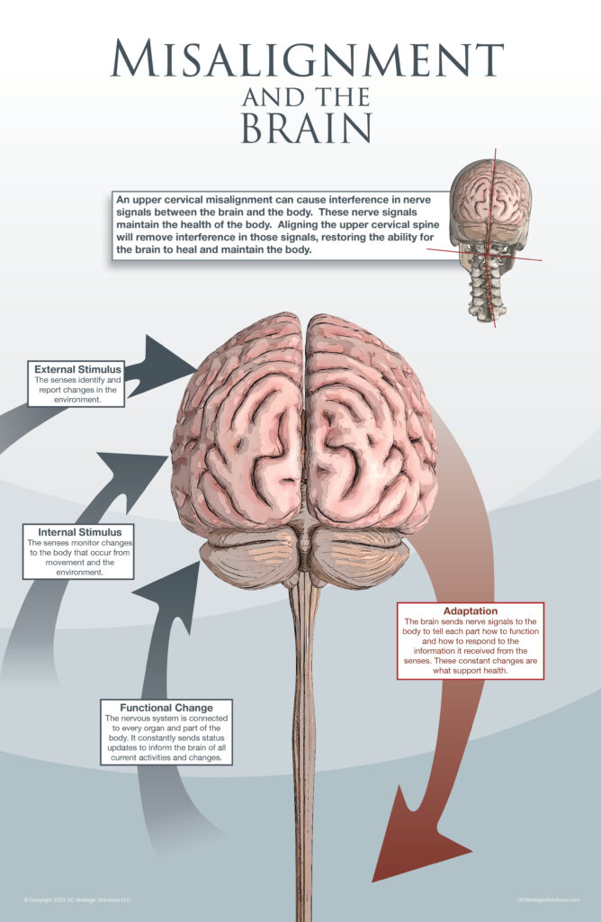 Upper Cervical Spinal Care – Crossroads Brain & Spine